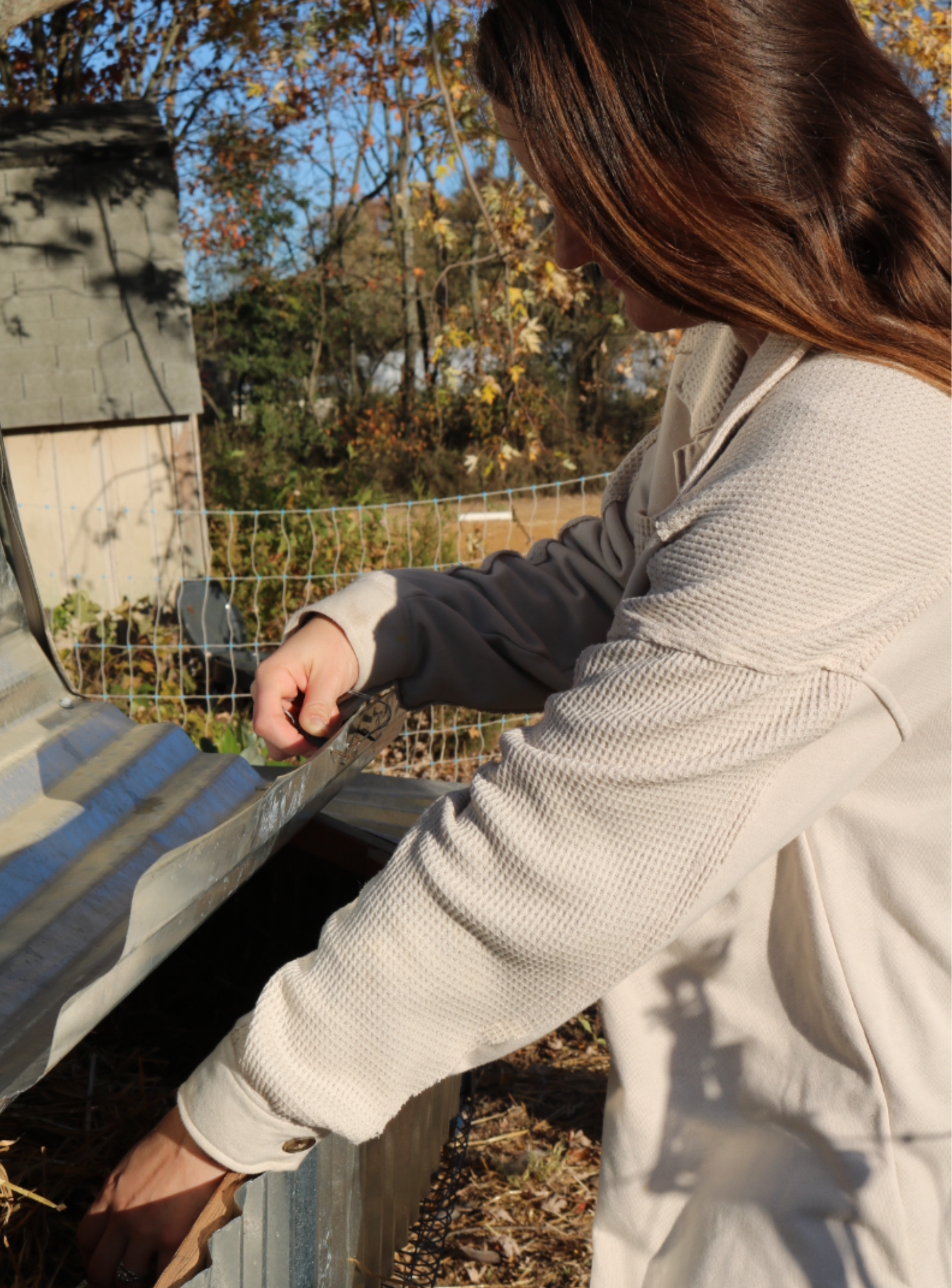 How to Start A Homestead From Scratch - The Henderson's Homestead