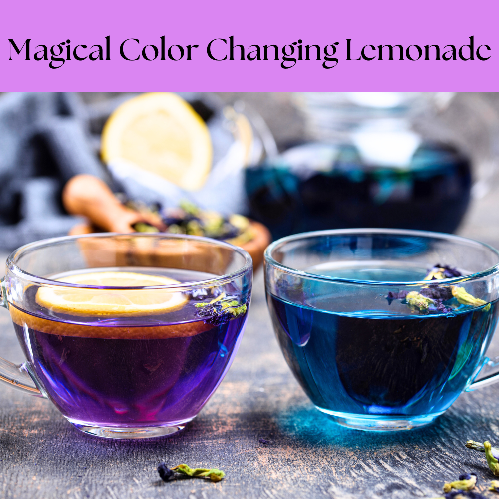How To Make Color-Changing Butterfly Pea Flower Tea - The Henderson's ...